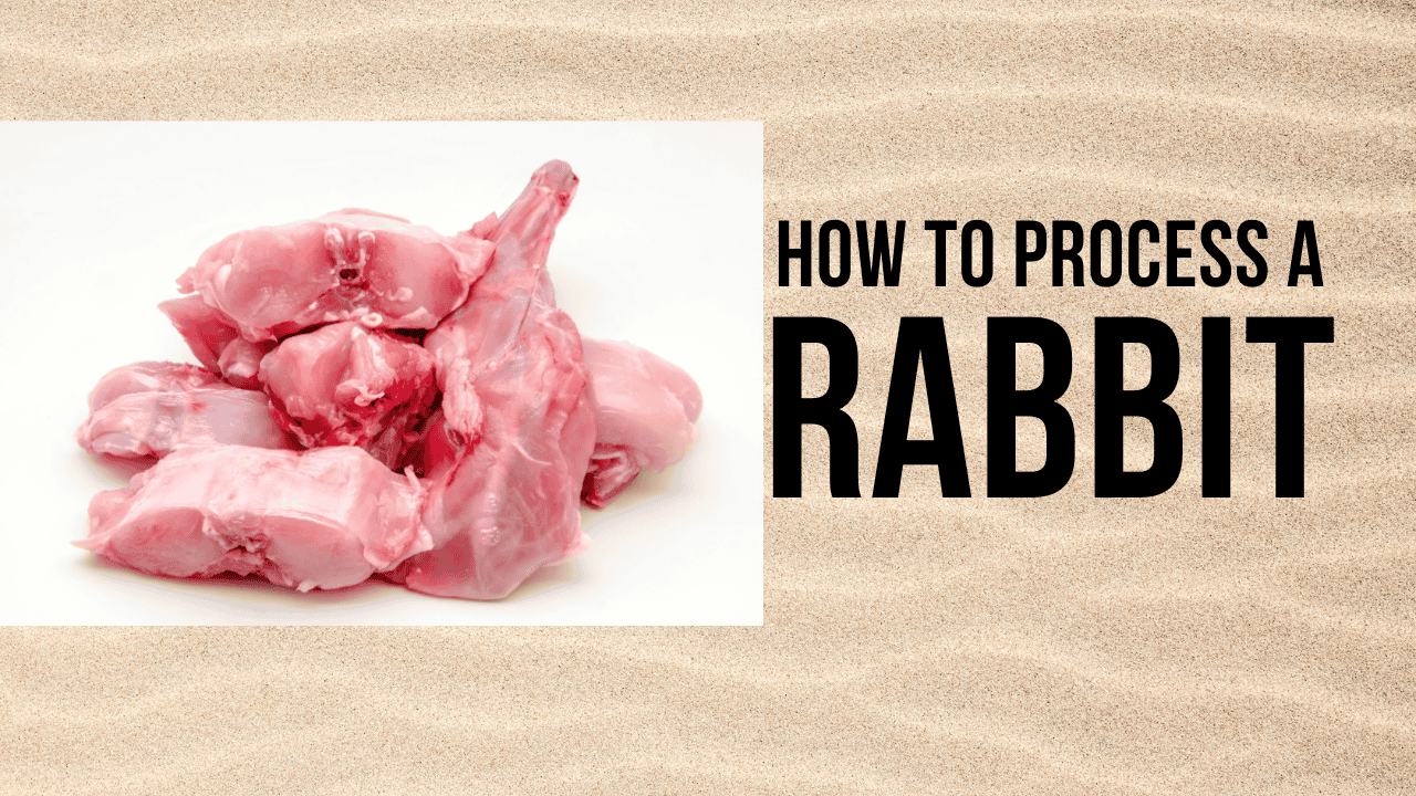 Rabbit Processing Demo and Open House at The Holler Homestead – June 29 ...